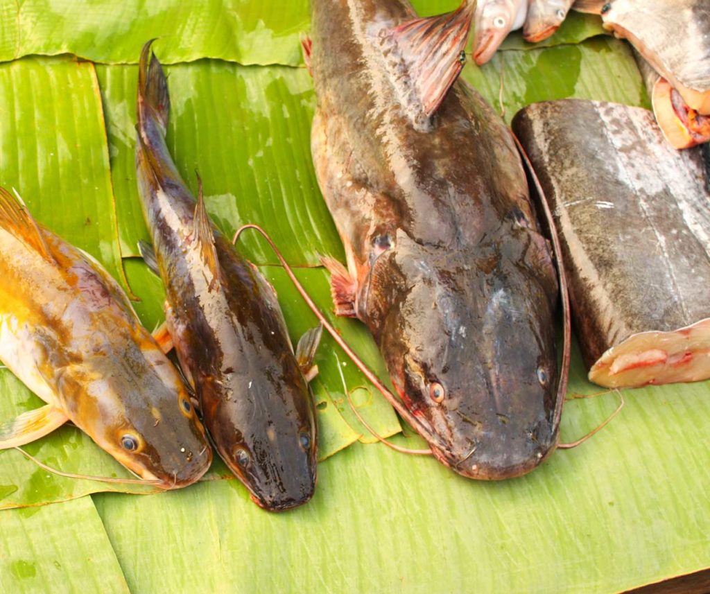 Best Places to Visit in Laos - Luxury Gold