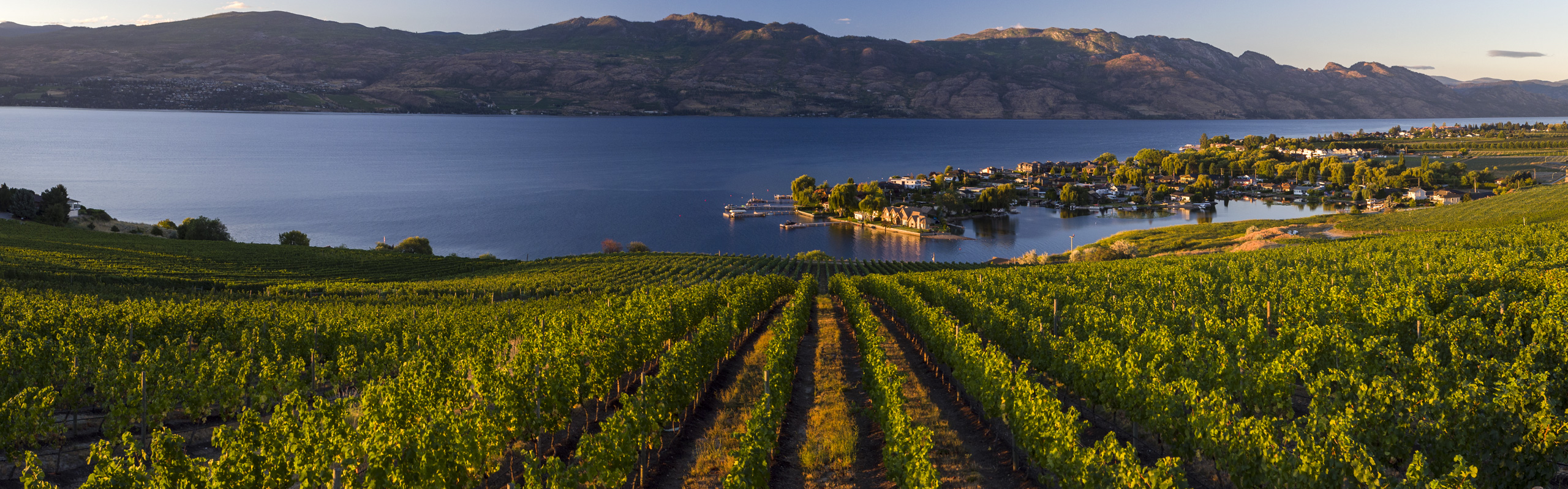 The Winemakers of The Okanagan Valley