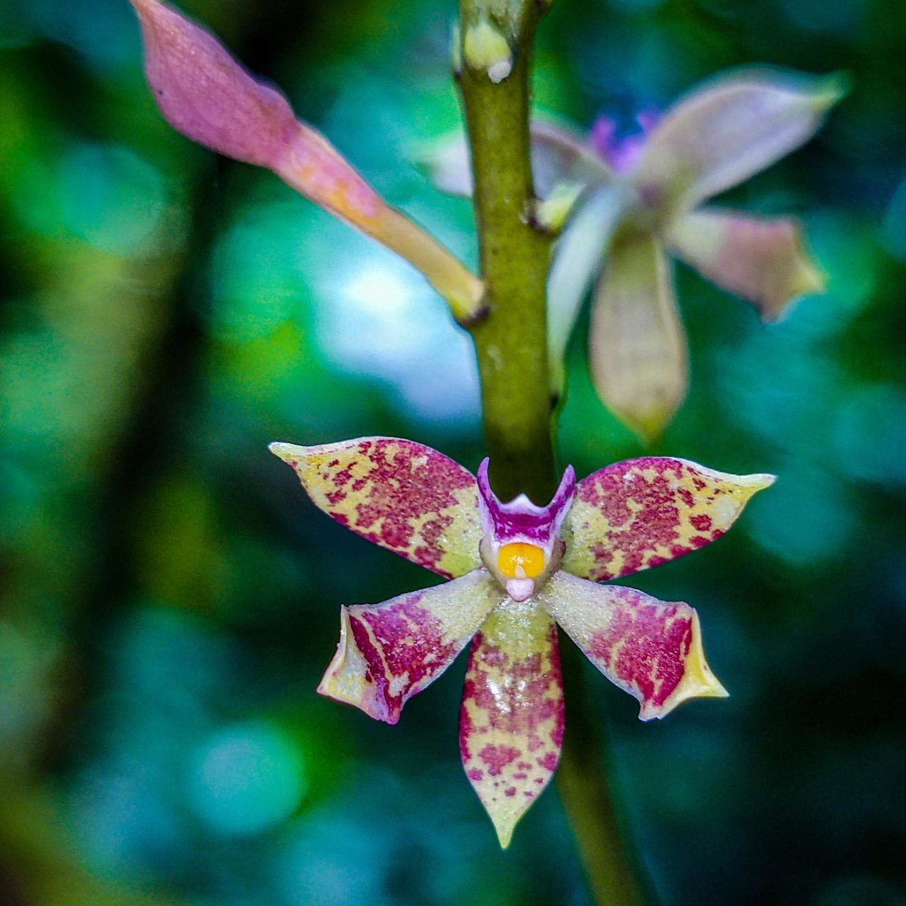Step inside Inkaterra Machu Picchu Pueblo Hotel