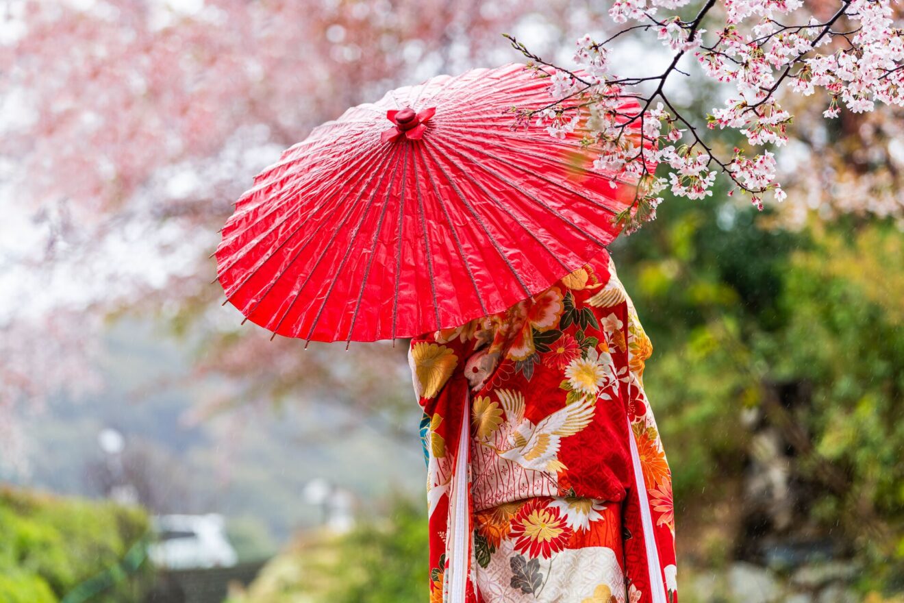 Guardians of a National Icon: Meet Japan's Cherry Blossom Doctors