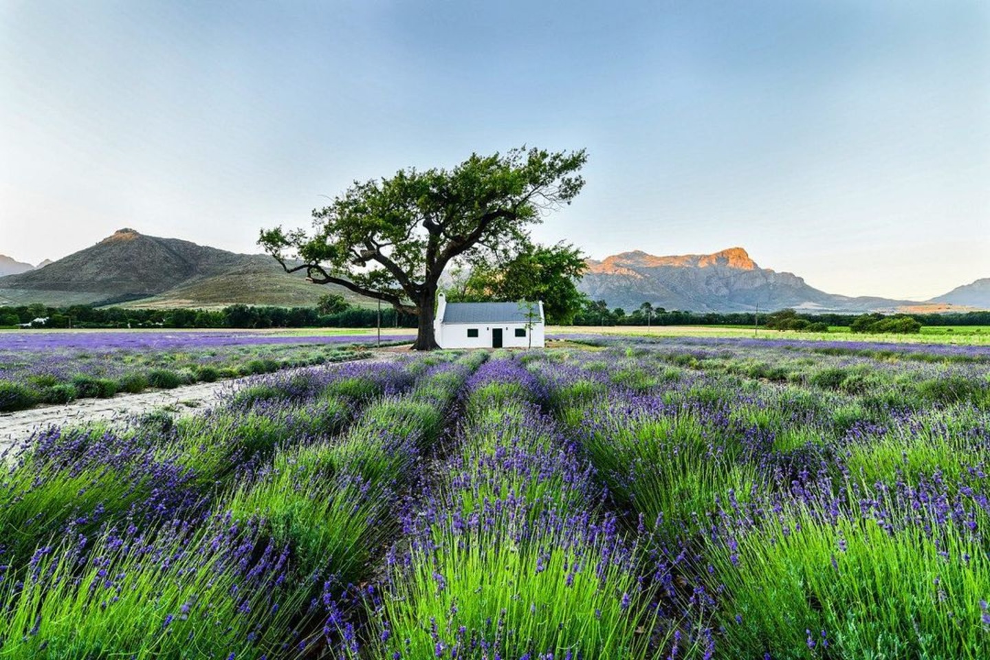 A look inside South Africa's most beautiful wineries