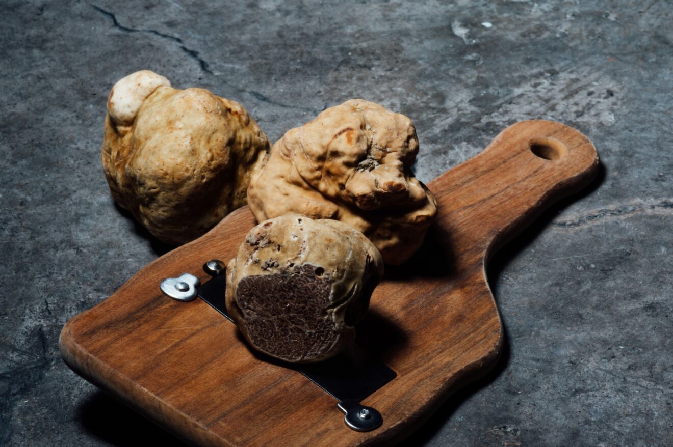 Exploring the World's Most Renowned Truffle Regions