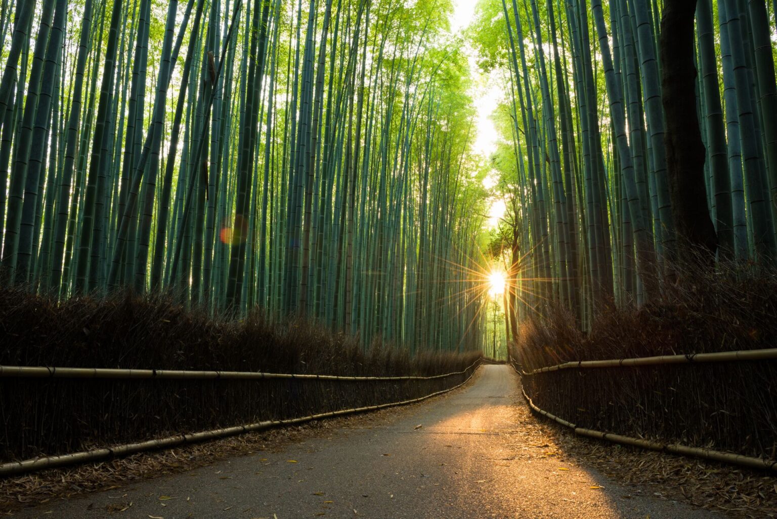 21 Most Beautiful Places In Japan You Need To Visit