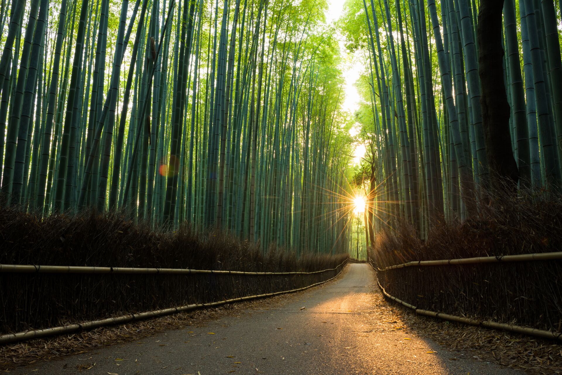 21 Most Beautiful Places In Japan You Need To Visit