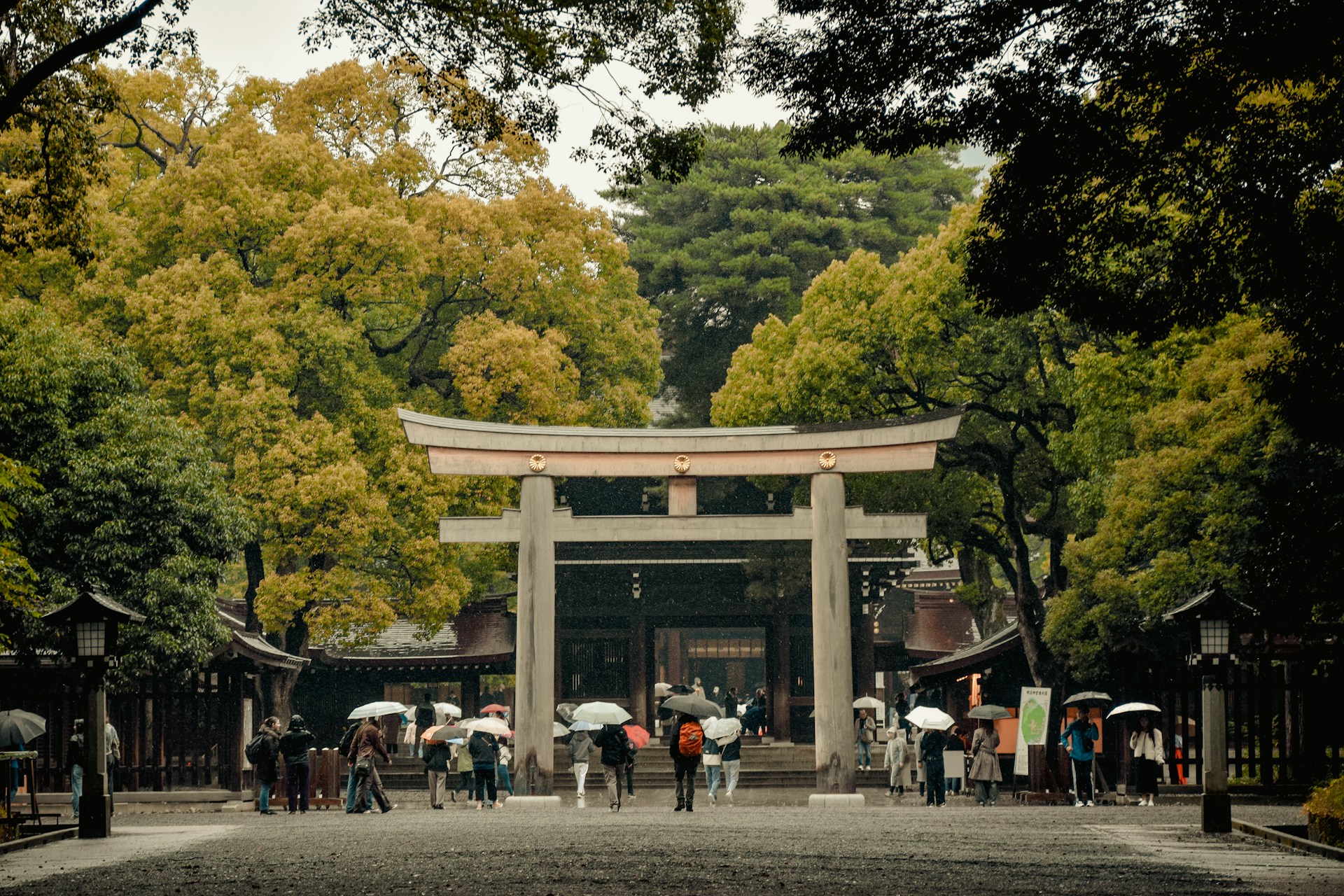 Fushimi Inari to Miyajima: The Most Famous Torii Gates in Japan ...
