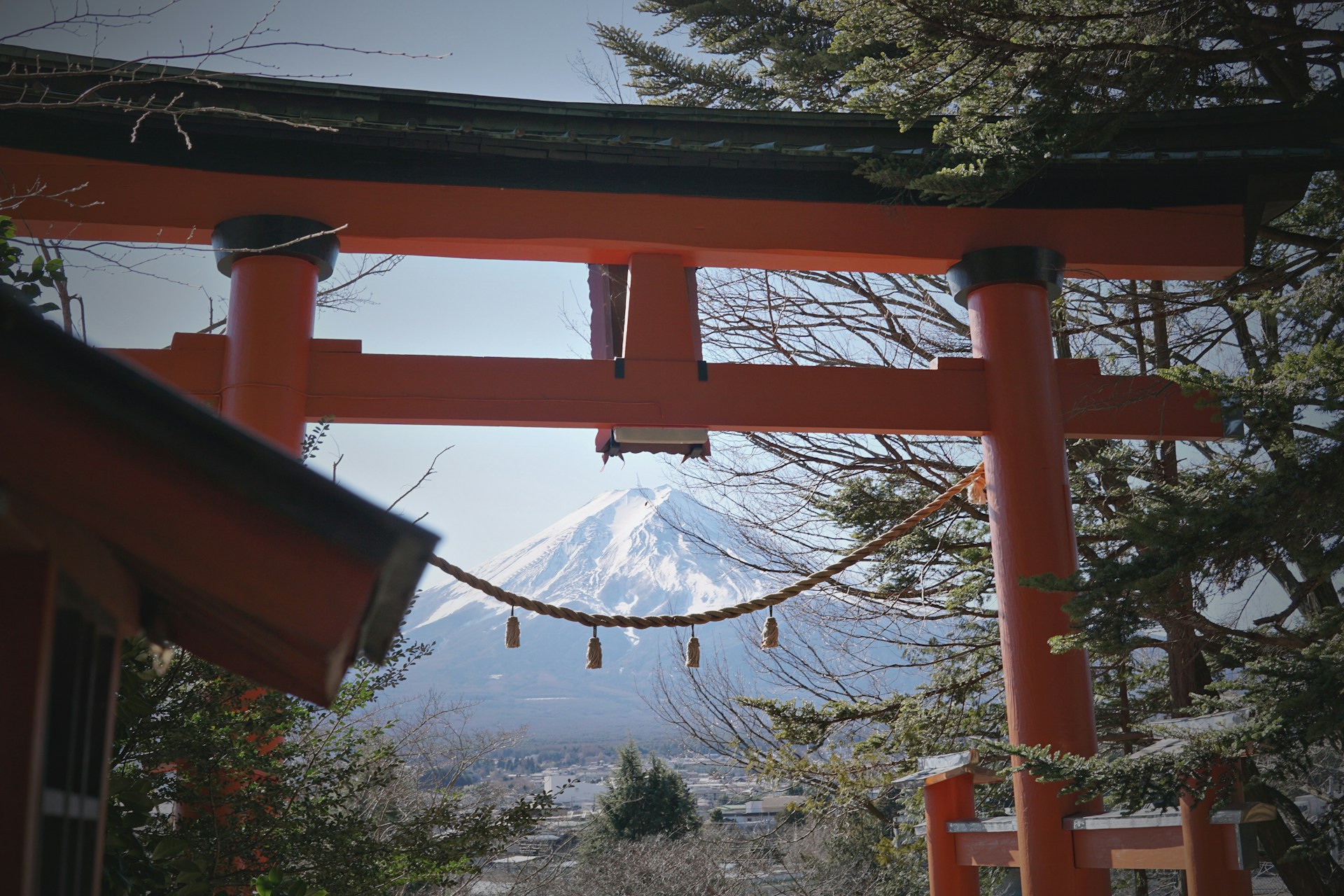 Fushimi Inari to Miyajima: The Most Famous Torii Gates in Japan ...