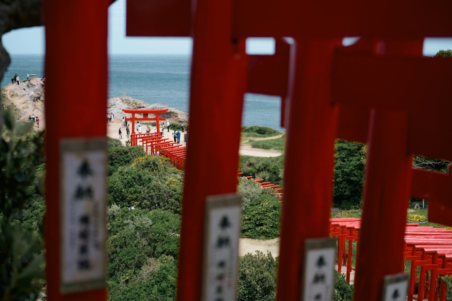 Fushimi Inari to Miyajima: The Most Famous Torii Gates in Japan ...